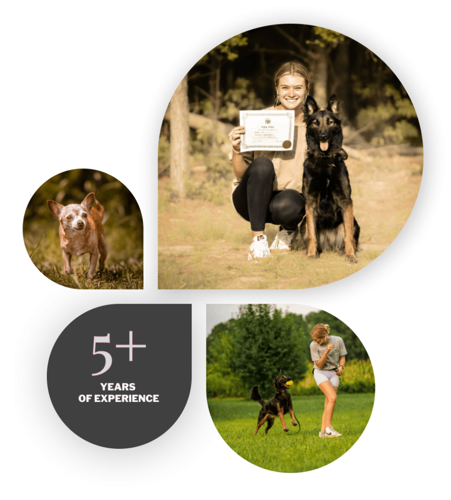Crystal Coast Canine - Crystal Coast Dog Training